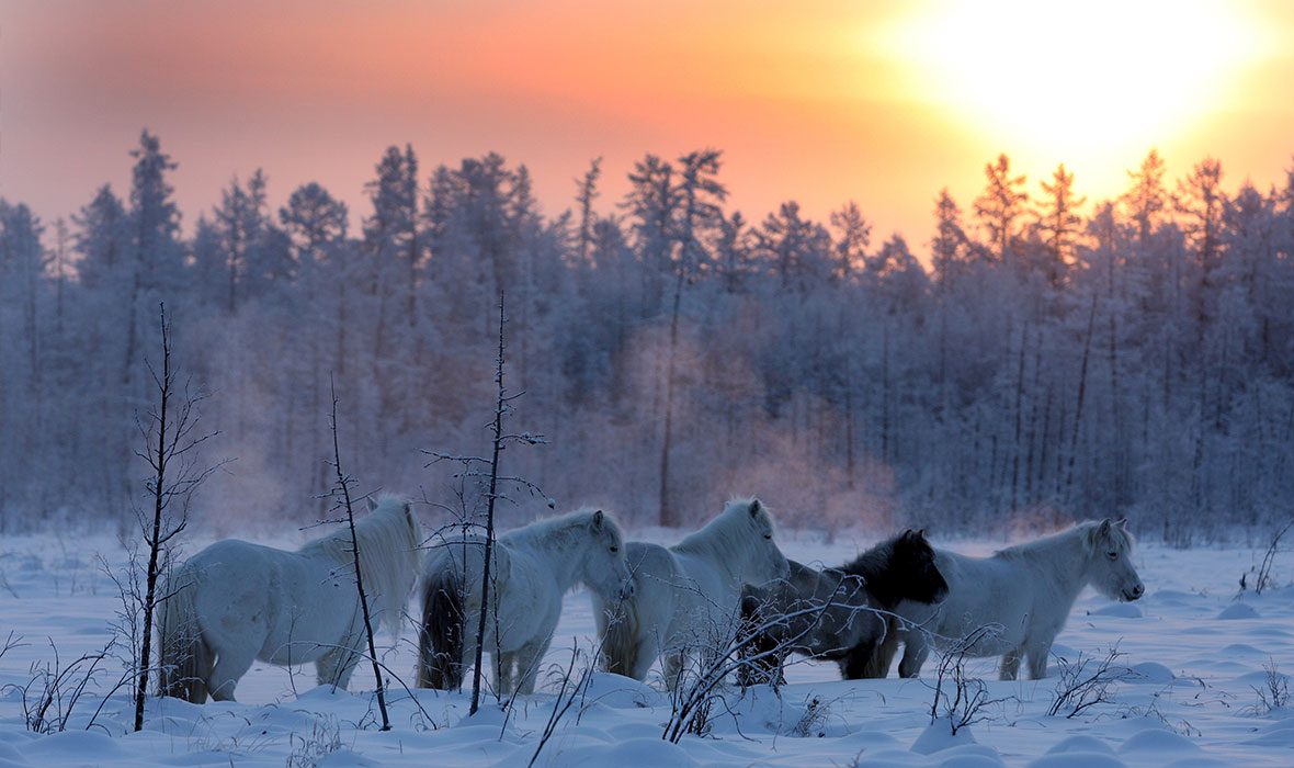 Yakutsk: Exploring the Russia’s Coldest City – Tripoholidays